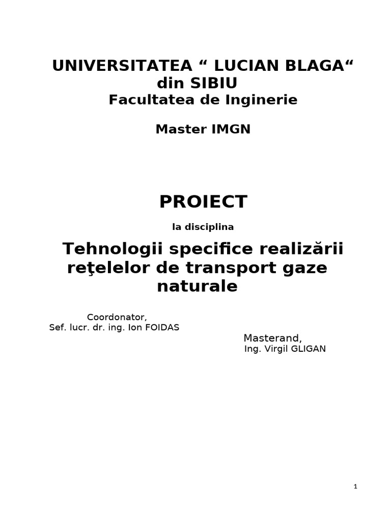Model Proiect TSRRTGN 2024 | PDF