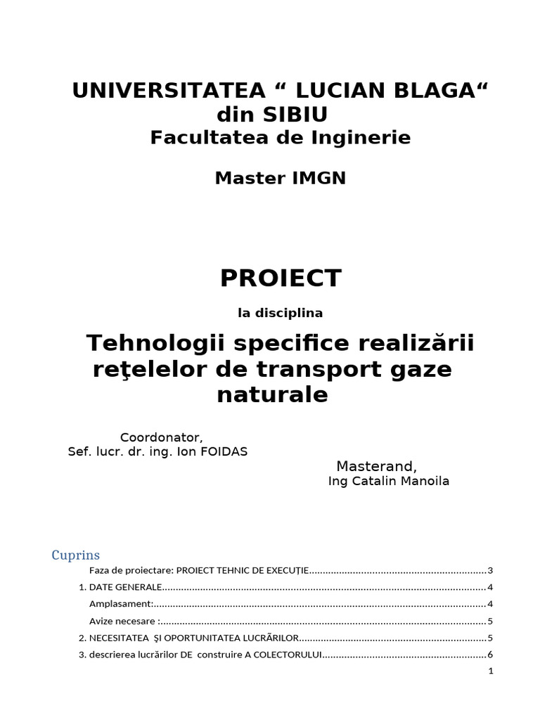 Proiect TSRRTGN | PDF