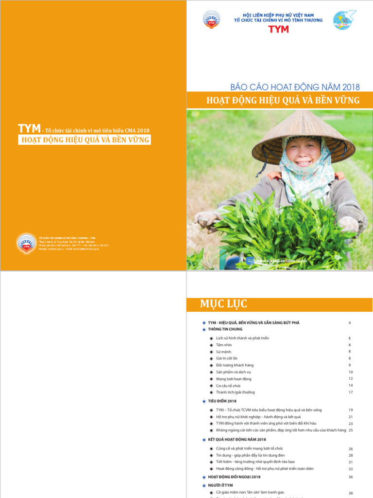 2018 Bao Cao Hoat Dong | PDF