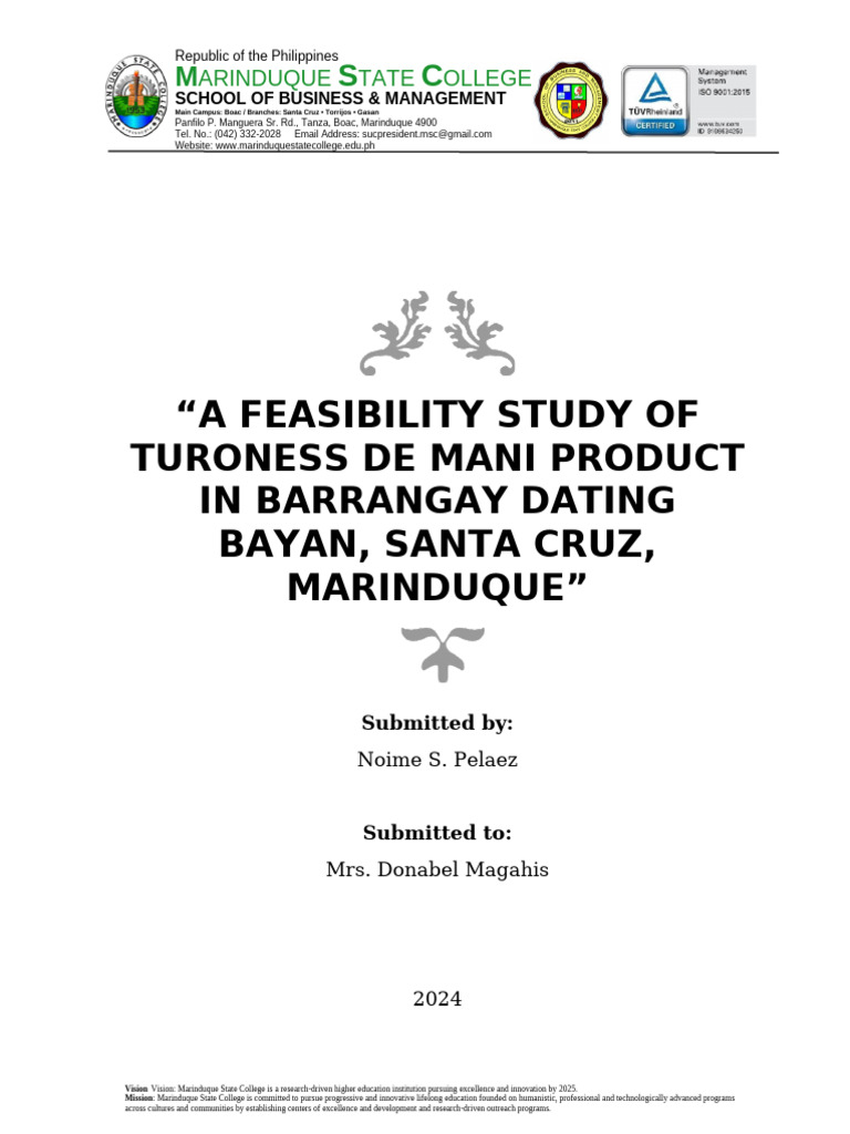 BS Entrep 3A Feasibility Study | PDF