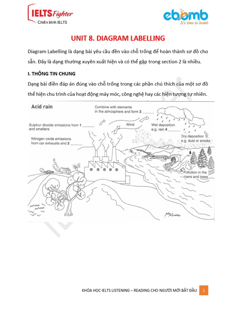 Unit 8 Diagram Labelling | PDF