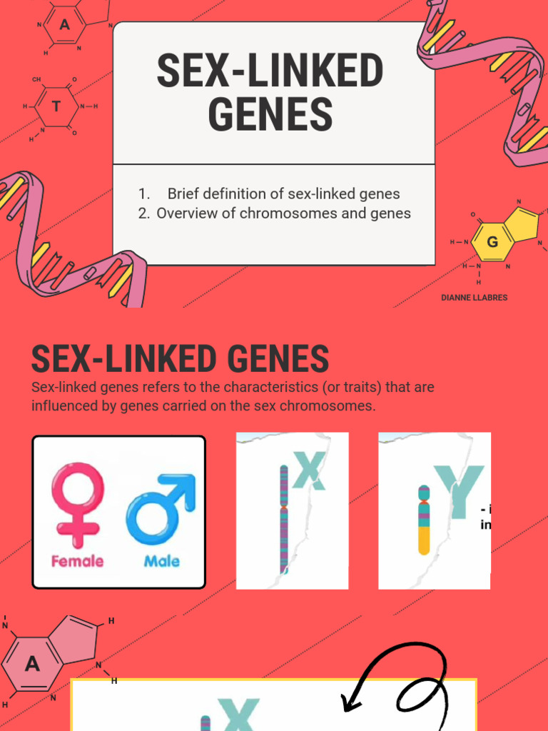 Sex - Linked Inheritance | PDF