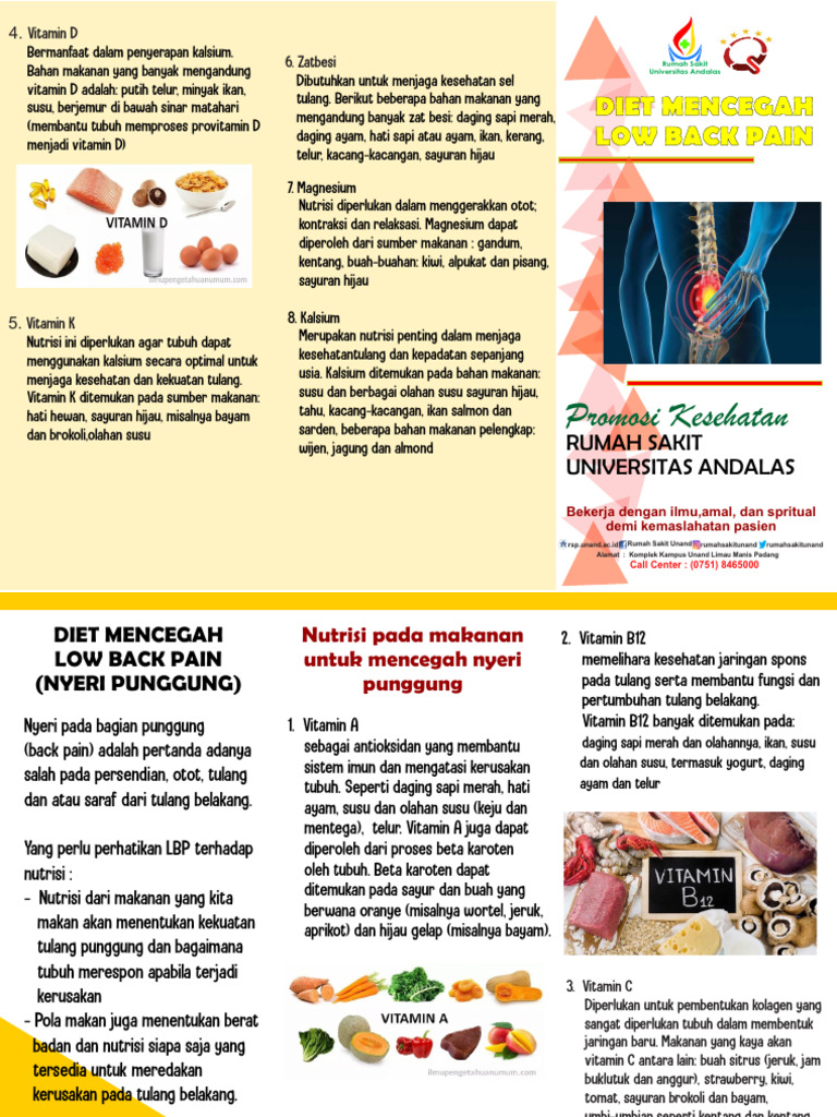 Leaflet Makanan Lansia - PDF LBP | PDF