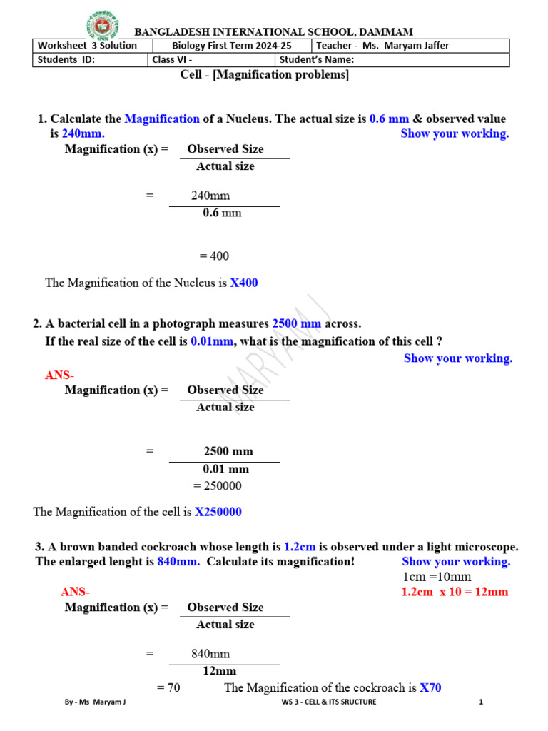 6TH WS3 SOLUTION MAGNIFICATION PROBLEMS AY 24-25 | PDF