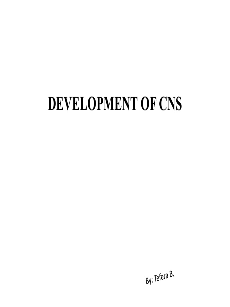 Embryology - Development of CNS | PDF | Cerebral Cortex | Spinal Cord