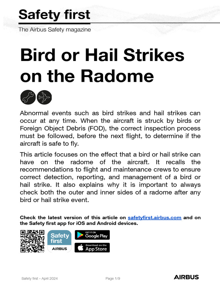 bird-or-hail-strikes-on-the-radome | PDF