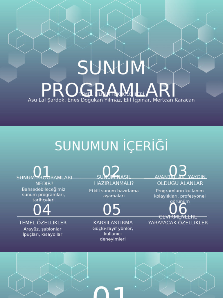 Sunum | PDF