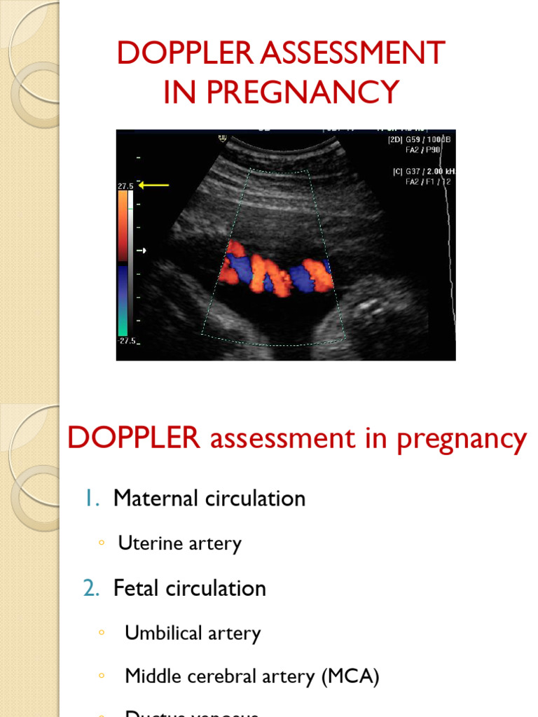 Doppler Assessment in Pregnancy | PDF