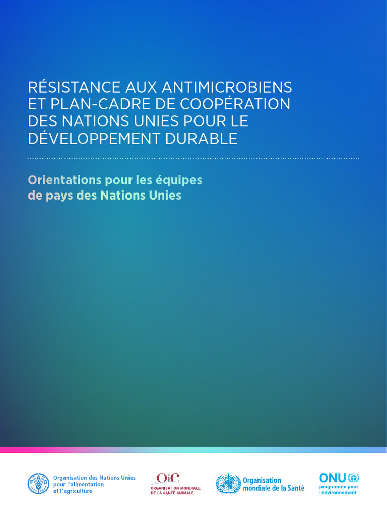 Unsdcf Amr Guidance Web Final FR | PDF