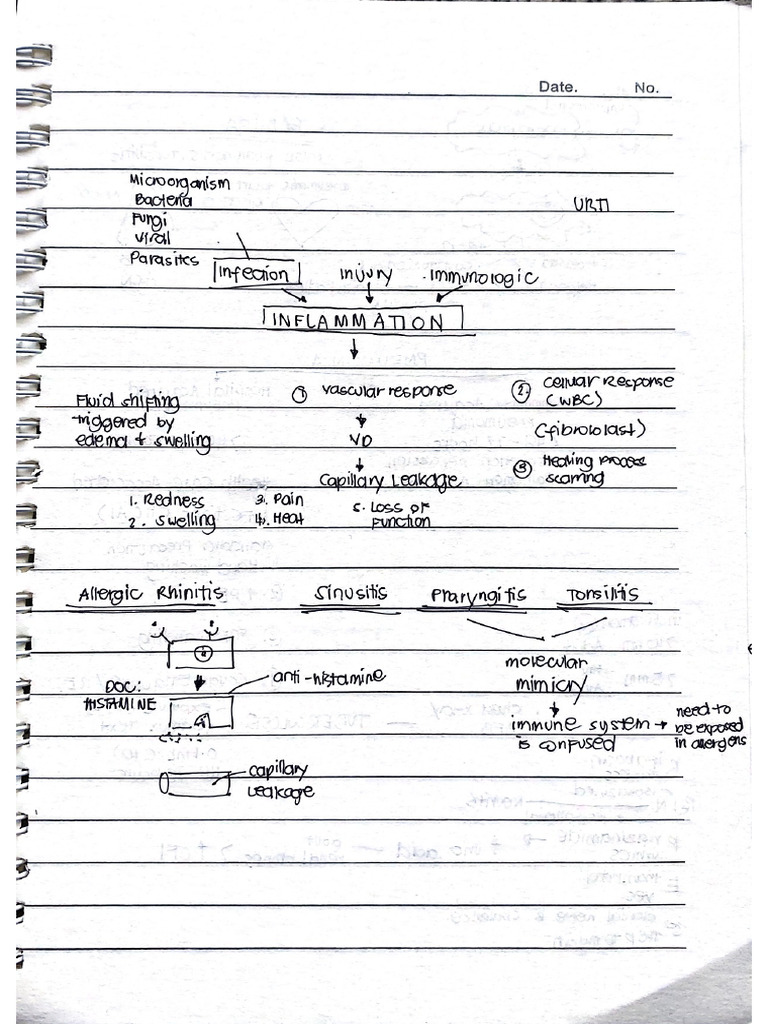 MPN2 Respiratory Conditions 1 | PDF