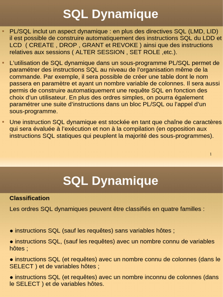 Sqldynamique | PDF