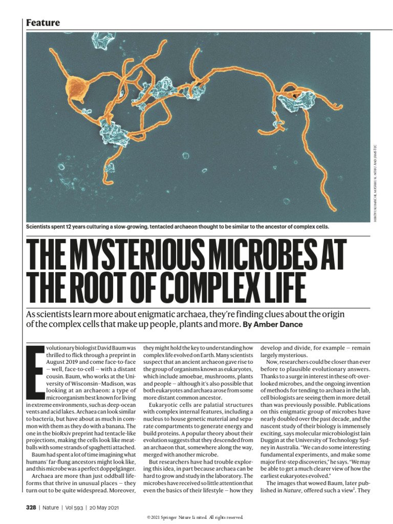 Nature Article | PDF