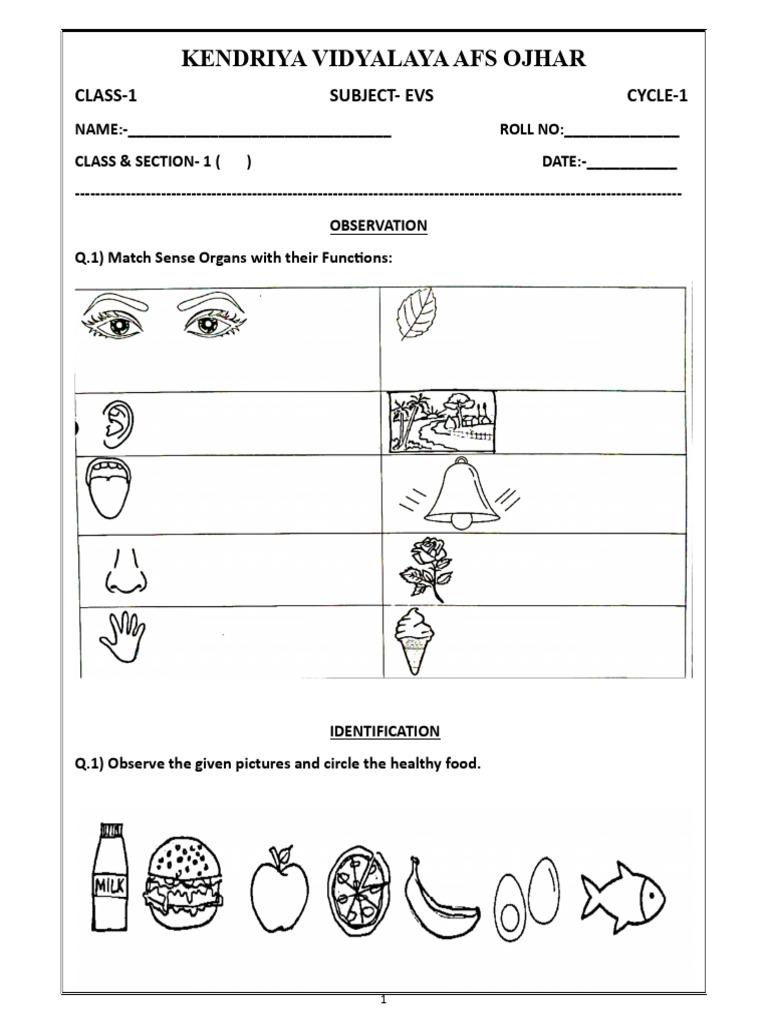 Class 1 Evs Cycle 1 | PDF