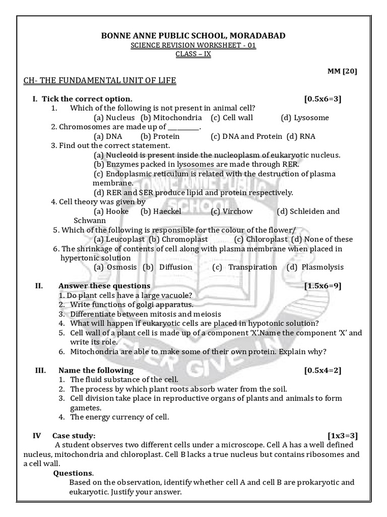 Class IX Science Revision Worksheet - 01 | PDF