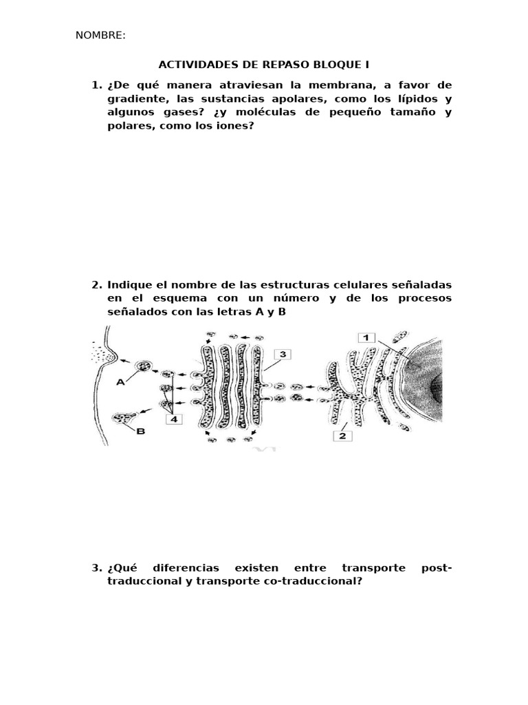Actividades de Repaso Bloque i | PDF