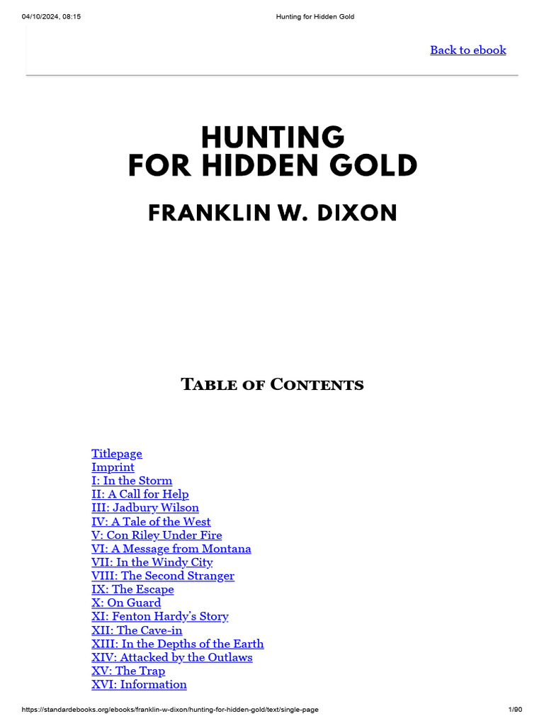 Hunting for Hidden Gold | PDF