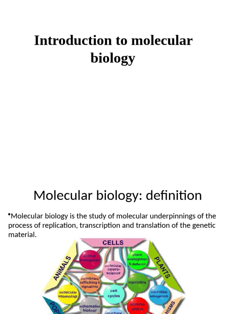 Introduction To Molecular Biology | PDF