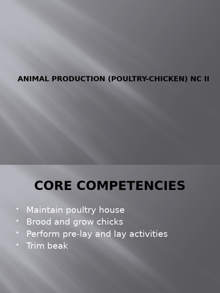 Animal Production (Poultry-Chicken) NC Ii | PDF