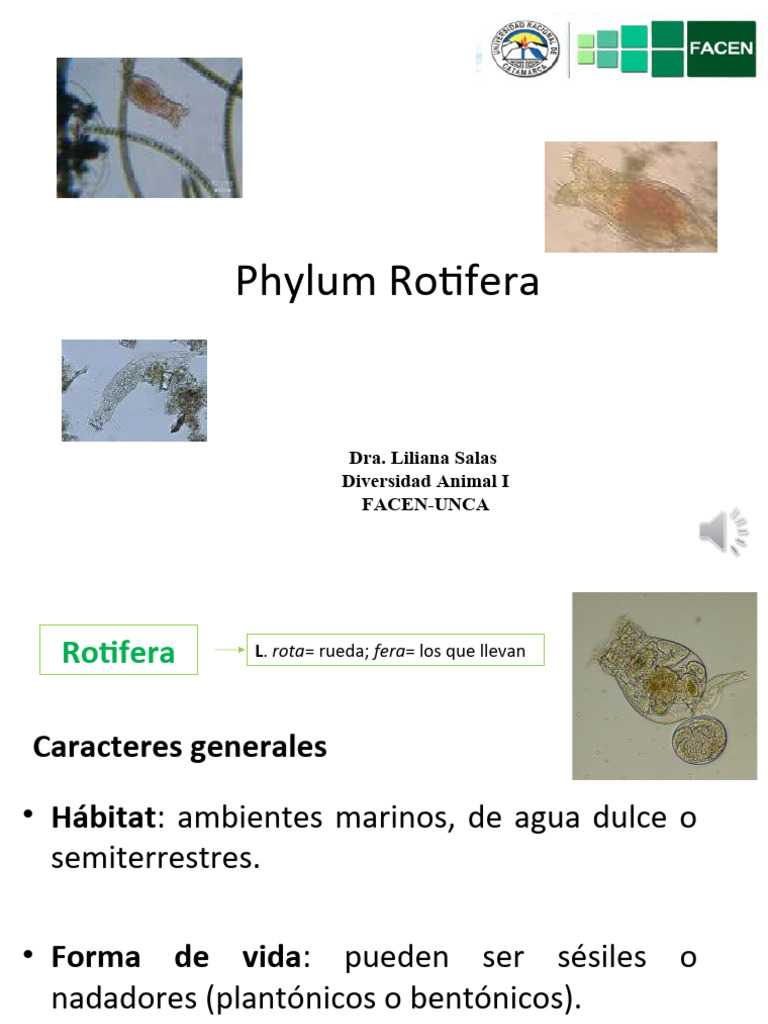 Phylum Rotifera | PDF