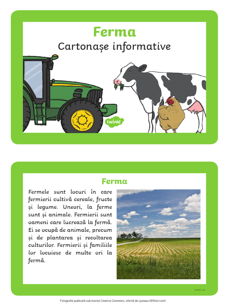 Informatii Din Sacul Cu Surprize | PDF