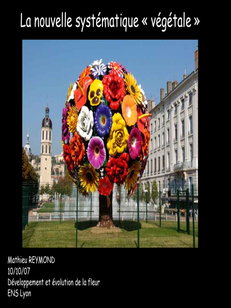 systematique vegetale | PDF