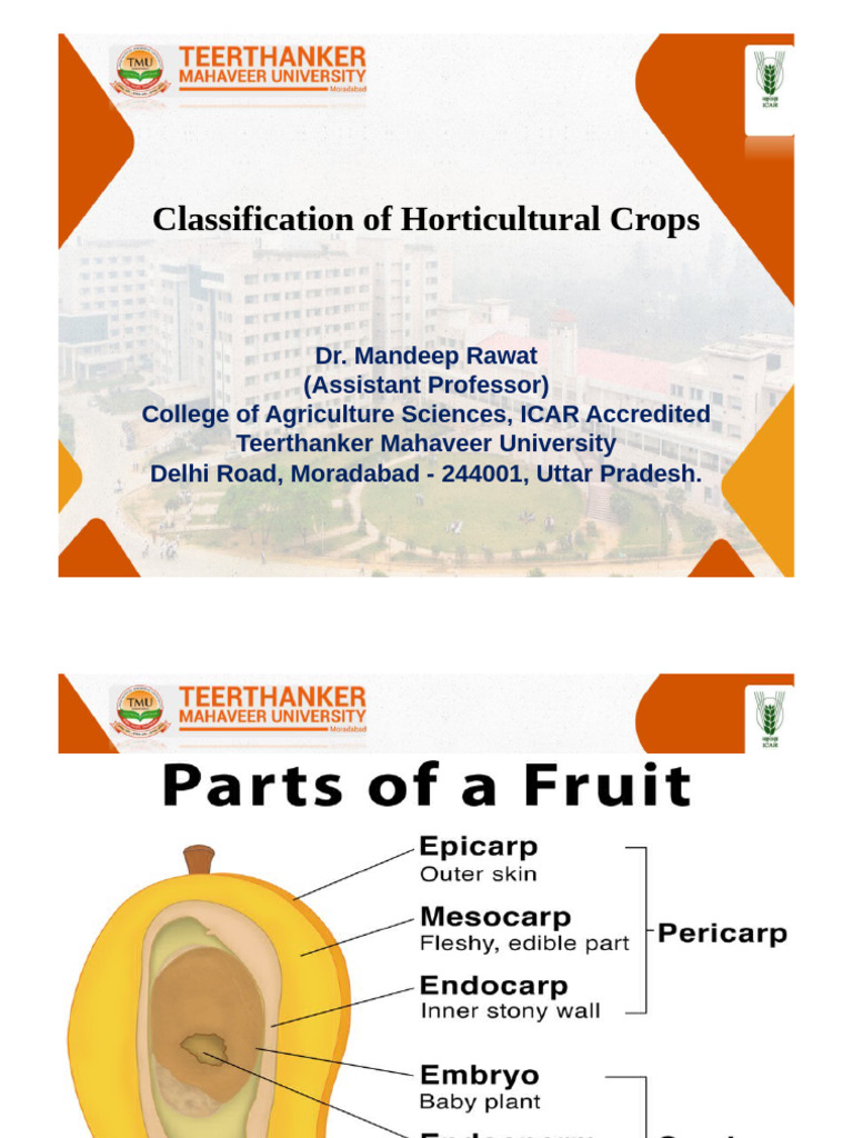 Horticultural Crop Classification Guide | PDF | Fruit | Plants