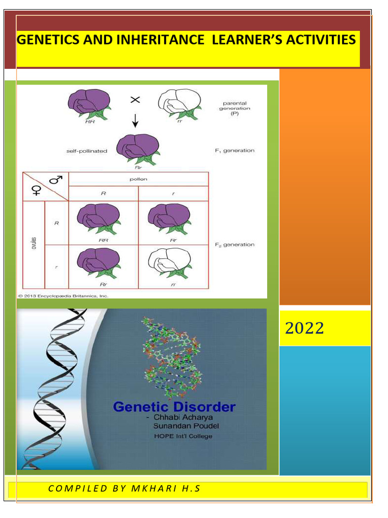 Genetics and Inheritance Learner's Activities | PDF
