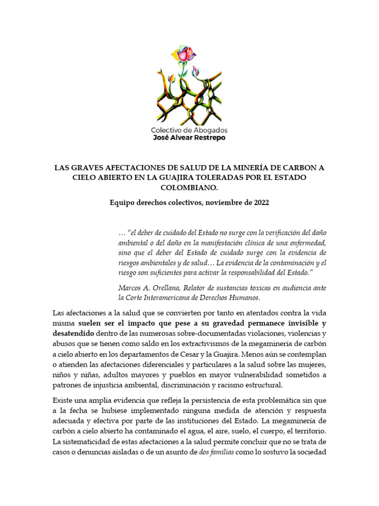 Informe Afectaciones Salud Carbon PDF | PDF Informe Afectaciones Salud Carbon PDF | PDF