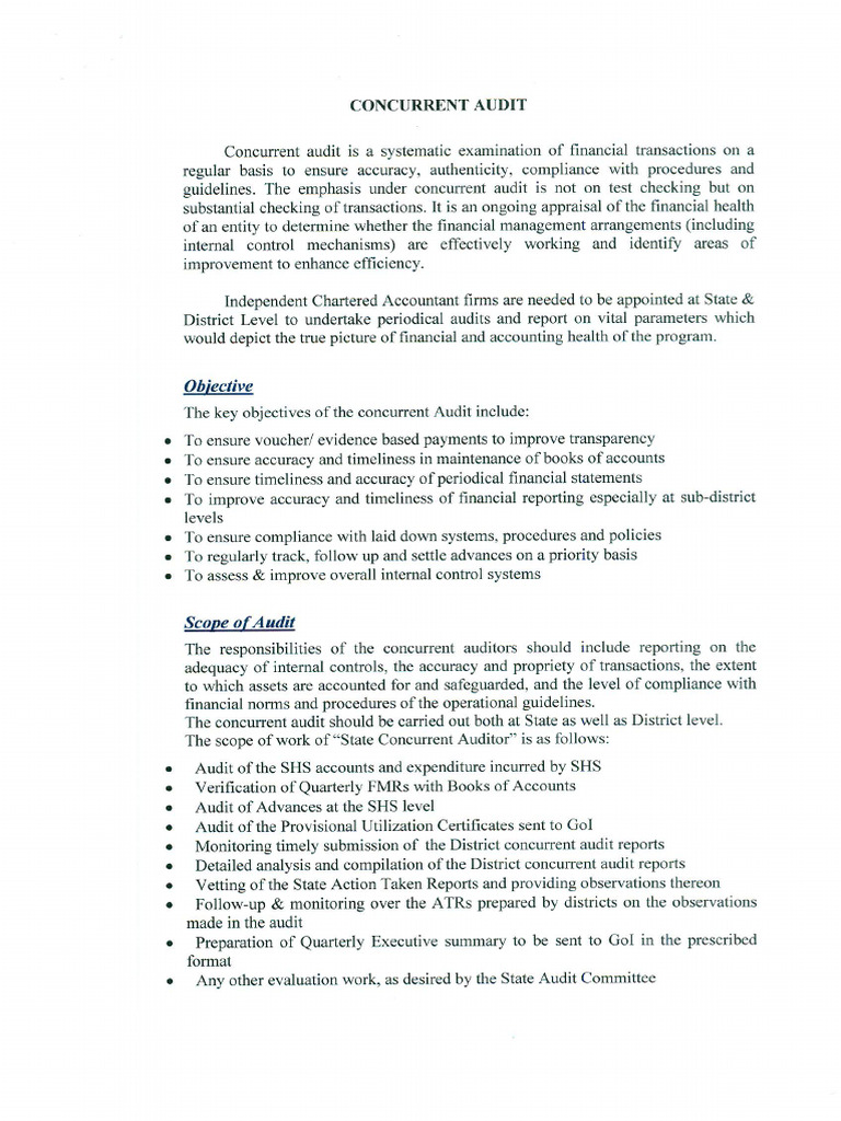 CONCURRENT AUDIT Guidelines | PDF