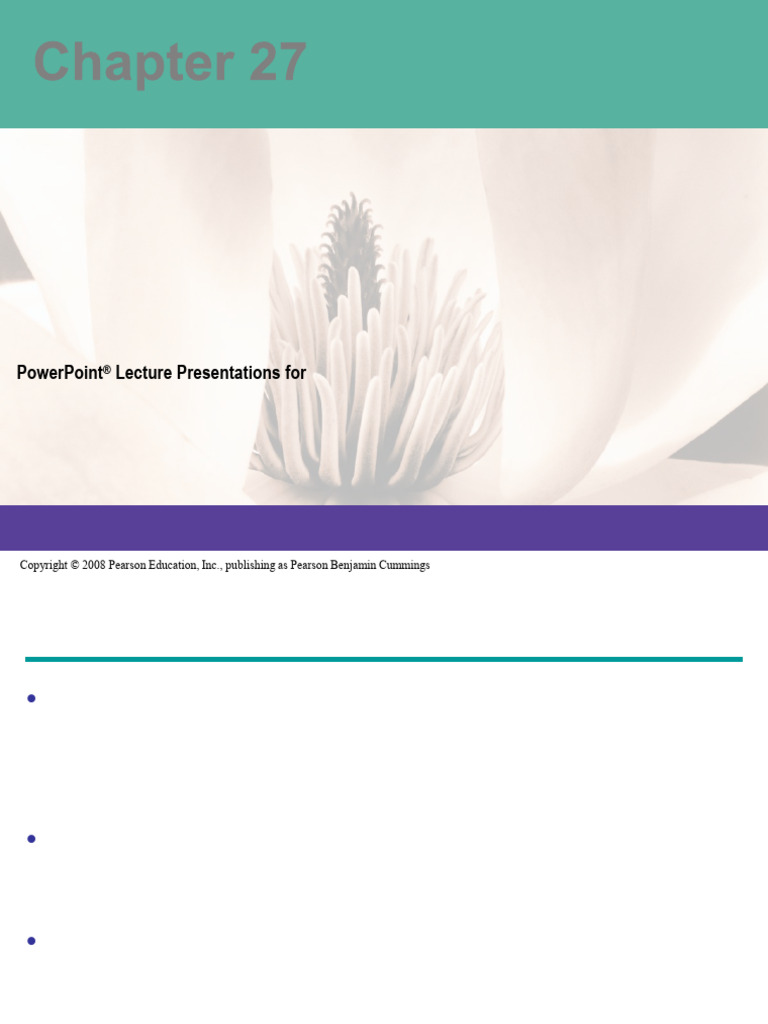 27 Lecture Presentation | PDF