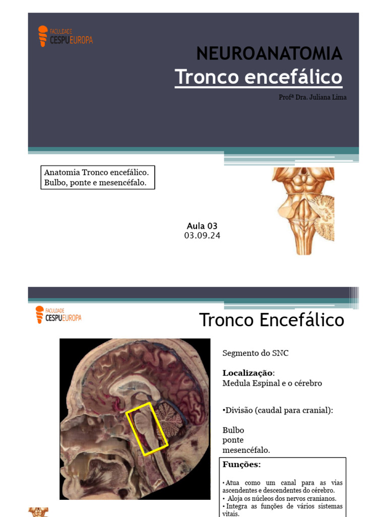 Aula 03. Tronco Encef Lico | PDF