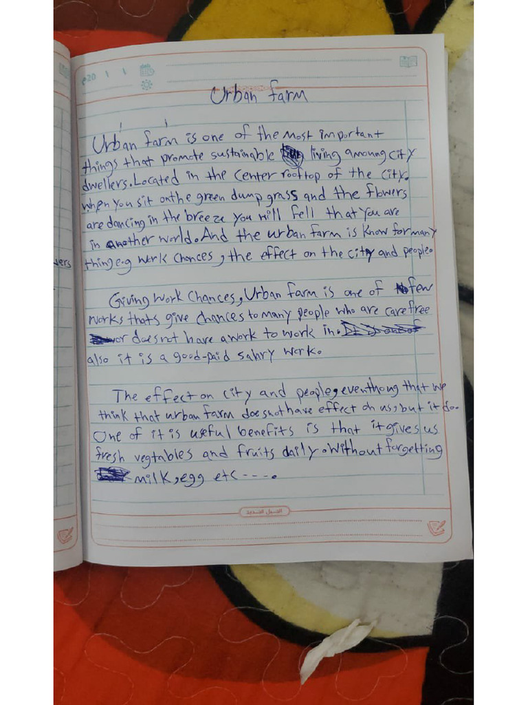 Paper 2 Writing | PDF