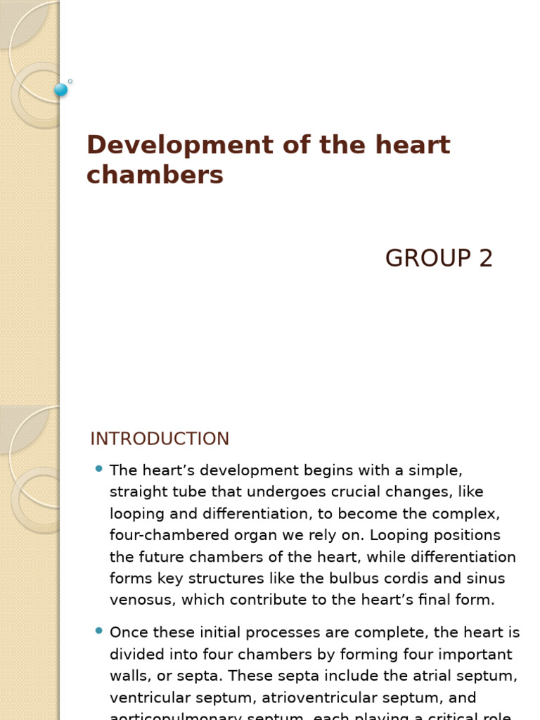 Updated Embroyology g2 | PDF