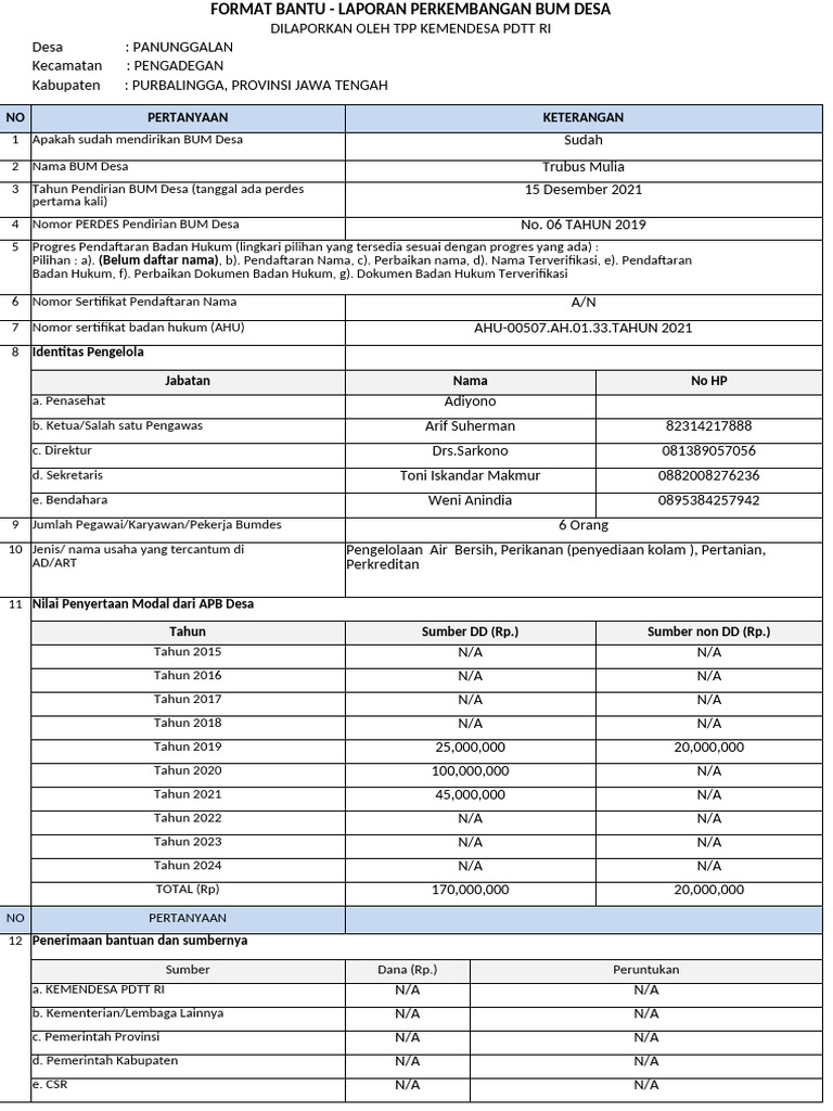 FORM Bantu Isian Laporan Per BUM Desa TPP | PDF