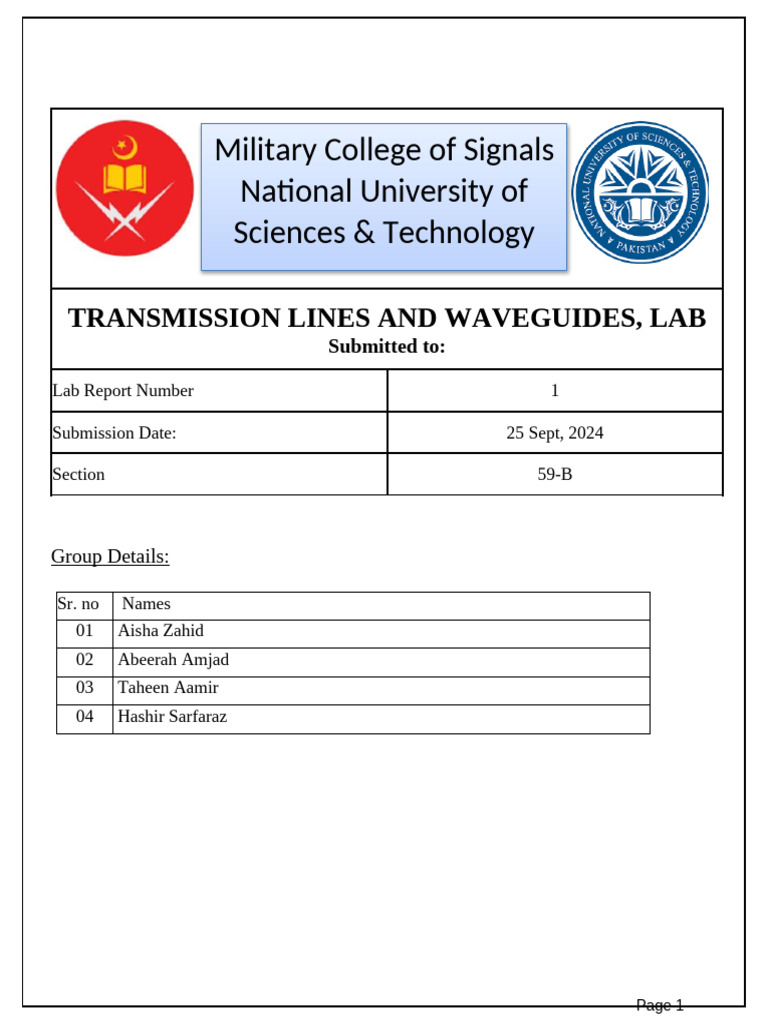 TLW LAB 1 | PDF