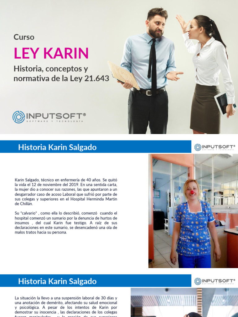 Ley_Karin | PDF