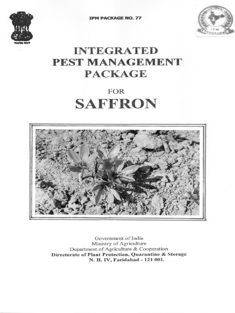 Saffron | PDF