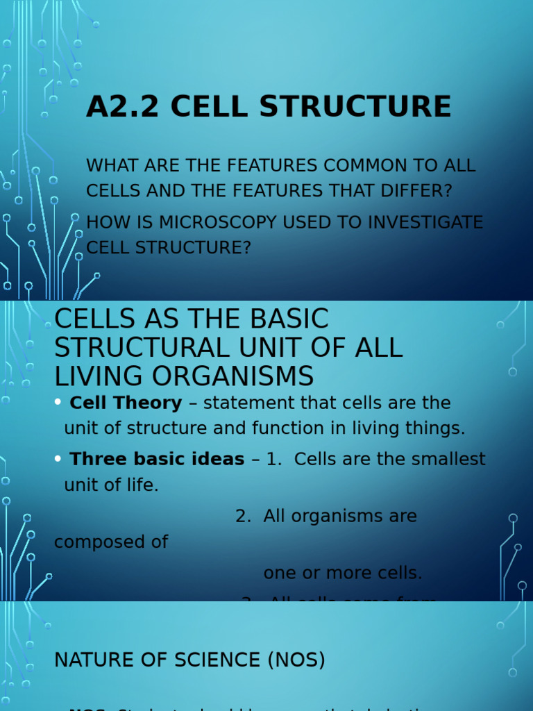 A.2.2 Cell Structure | PDF