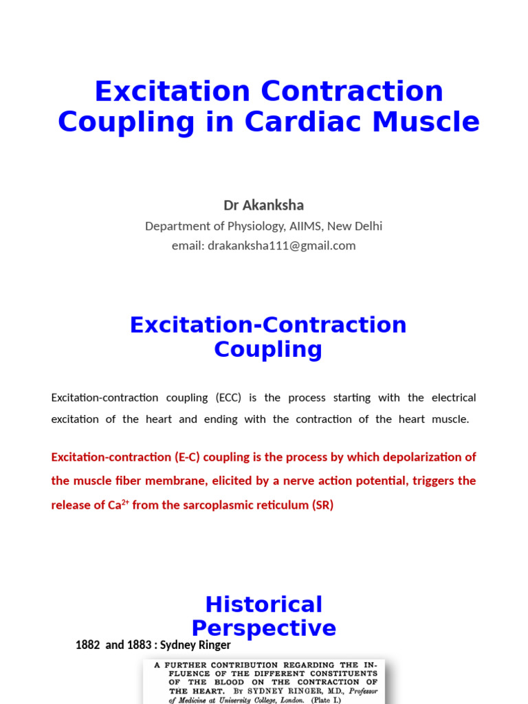 4 - EC Coupling in Cardiac Muscle | PDF