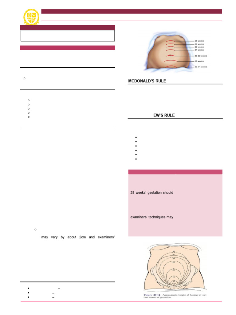 FUNDAL HEIGHT MEASUREMENT | PDF