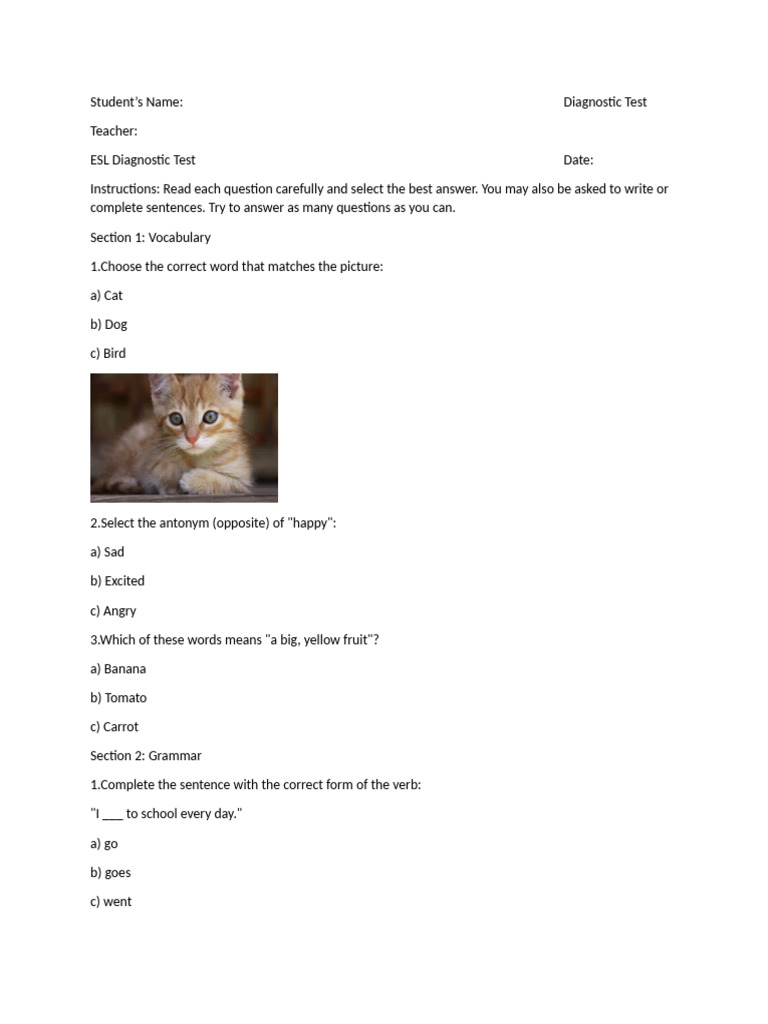 ESL Diagnostic Test Overview | PDF | Language Arts & Discipline ...