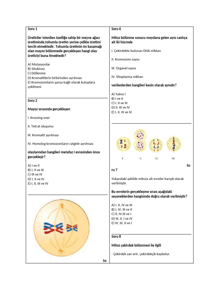 Ogmmateryal 291002 | PDF