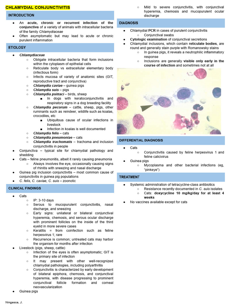 Chlamydial Conjunctivitis | PDF | Microbiology | Medical Specialties