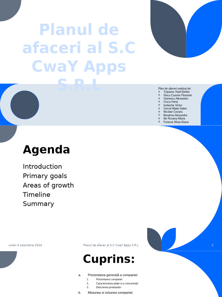 Proiect Antreprenoriala in Lucru | PDF