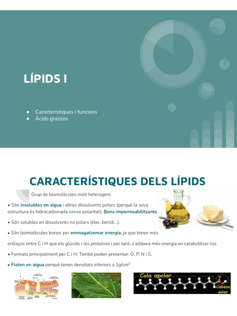Tema 3 - Lípids | PDF