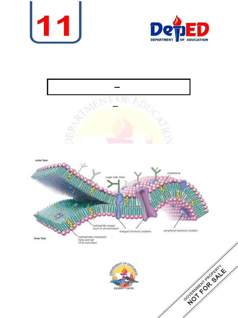 bio 1 module 10 | PDF