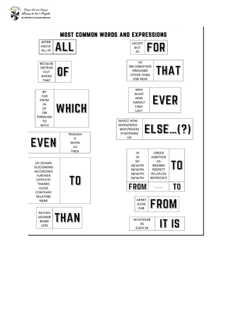 Words & Expressions For The Essay | PDF