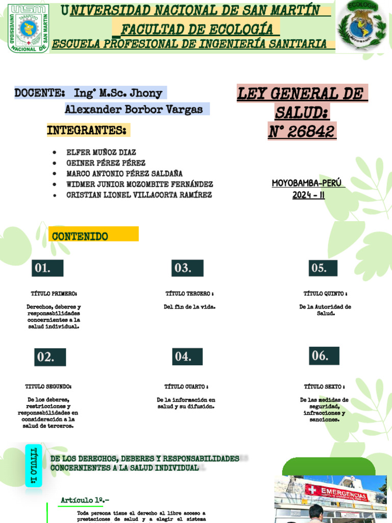 Exp Sis Icon Grupo 1 | PDF