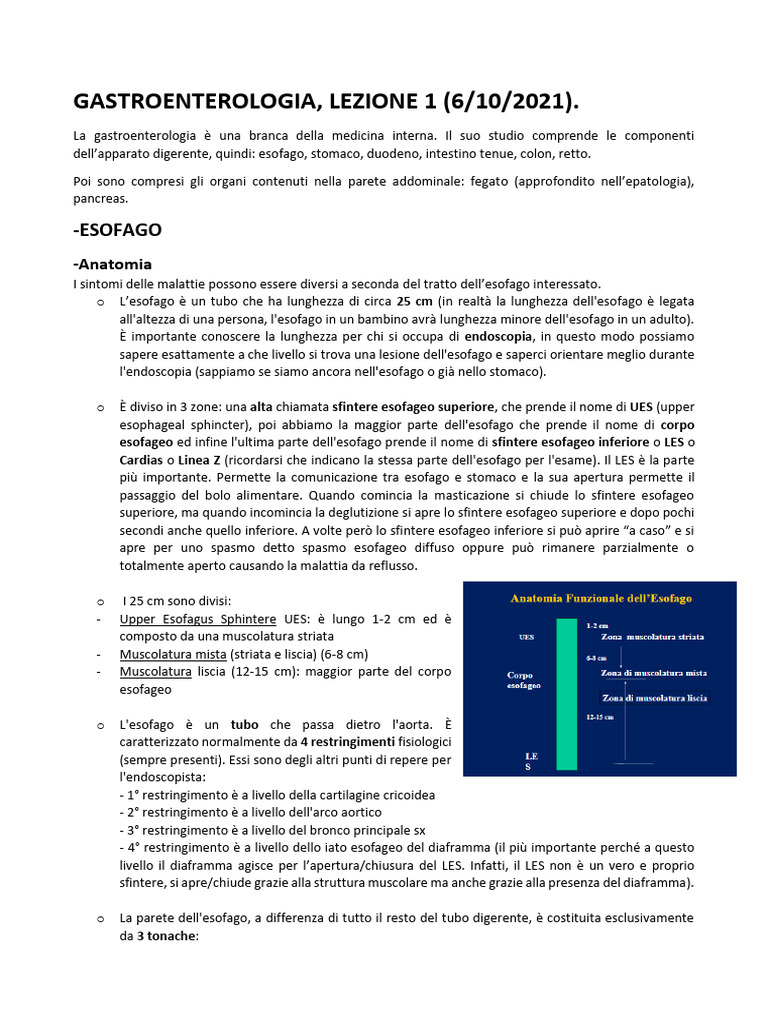 Gastro 1 Pdf
