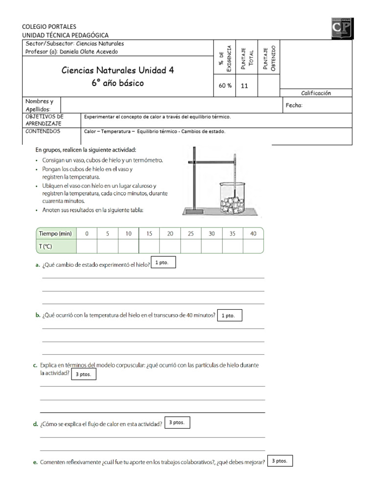Guía evaluada 6° básico Unidad 4 ciencia | PDF